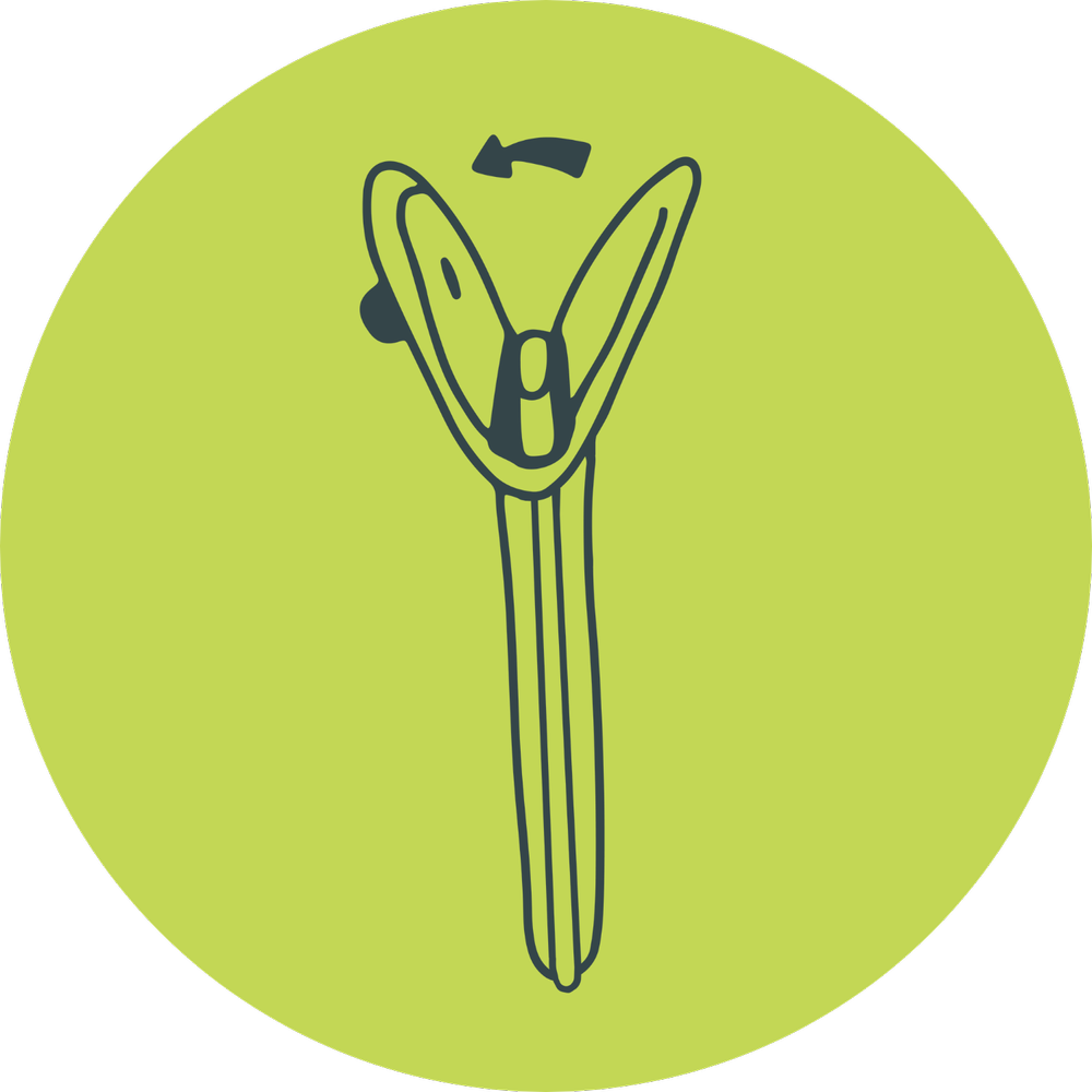 How It Works — Yondr