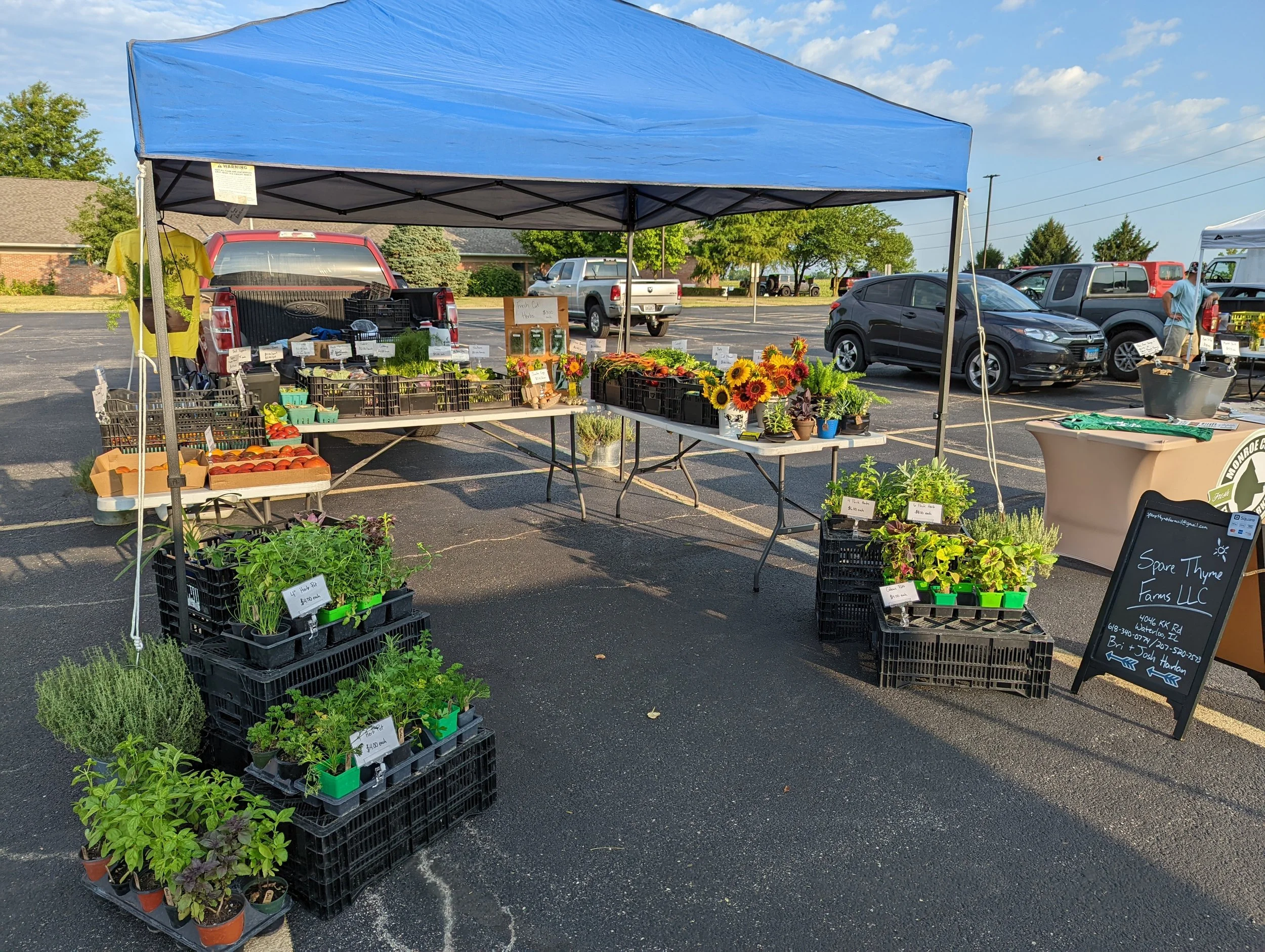 Markets — Spare Thyme Farms