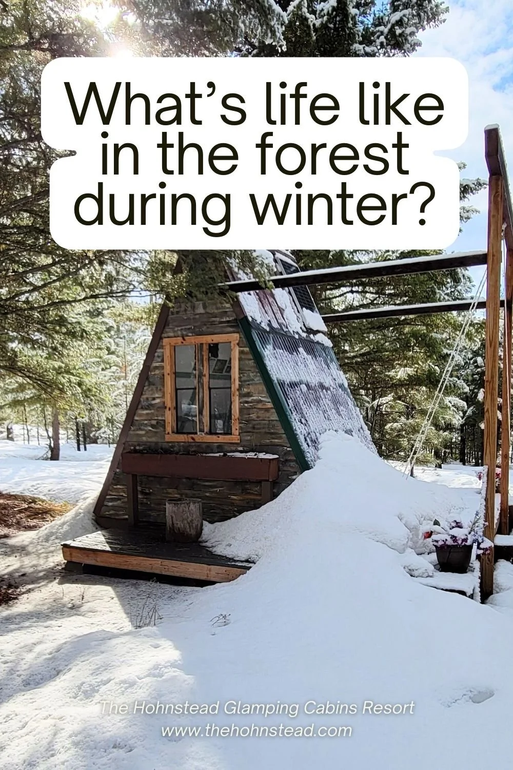 What it's like living in the forest in the winter? — The Hohnstead Glamping Cabins