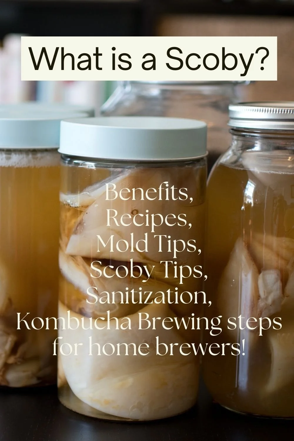 A Complete Guide to Make Kombucha Tea Drinks at Home — The Hohnstead ...