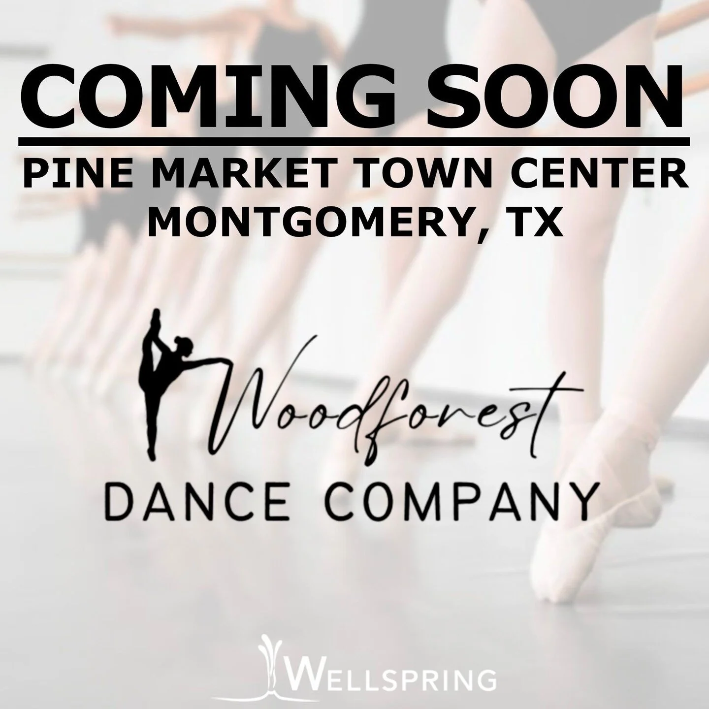 Wellspring Commercial Real Estate | Houston, Texas