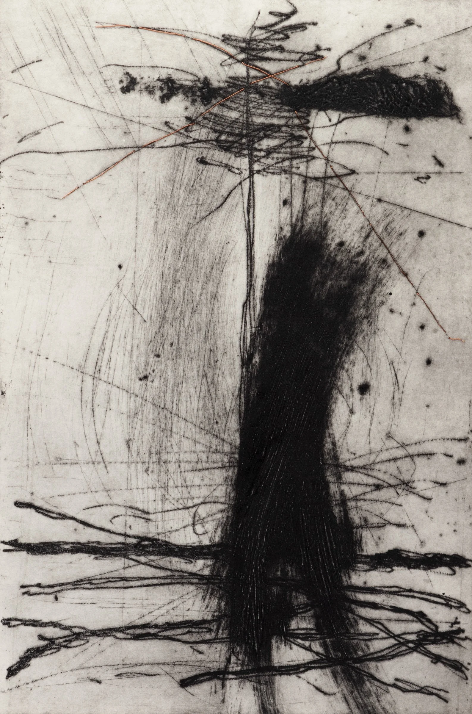 Marion Bright | Visual Artist | New Zealand