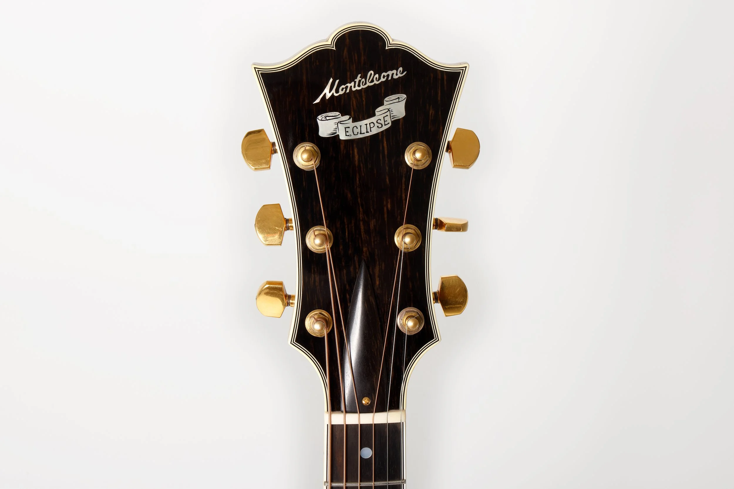 ABOUT — The Archtop Project