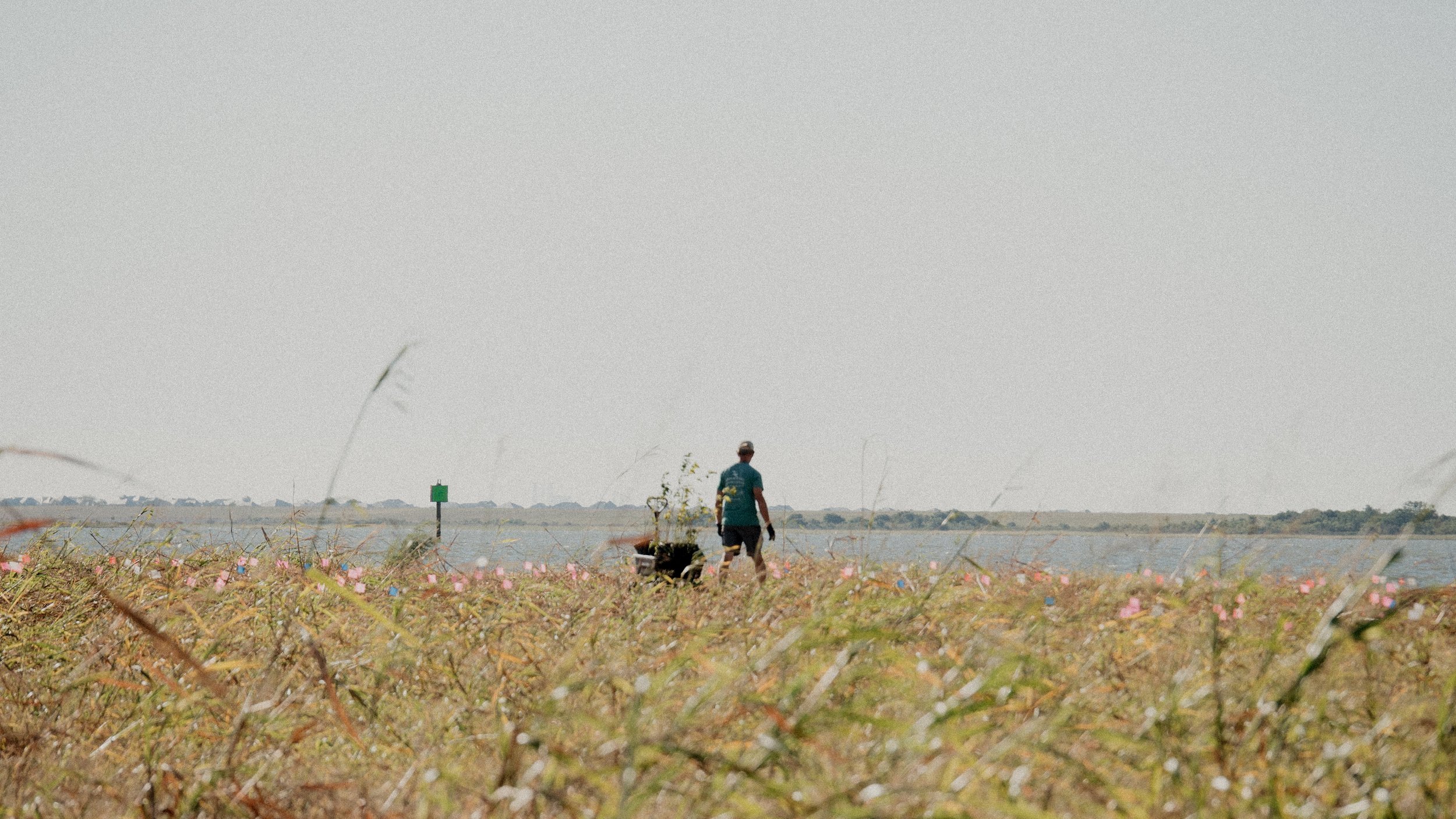 Mountain and Wave Films