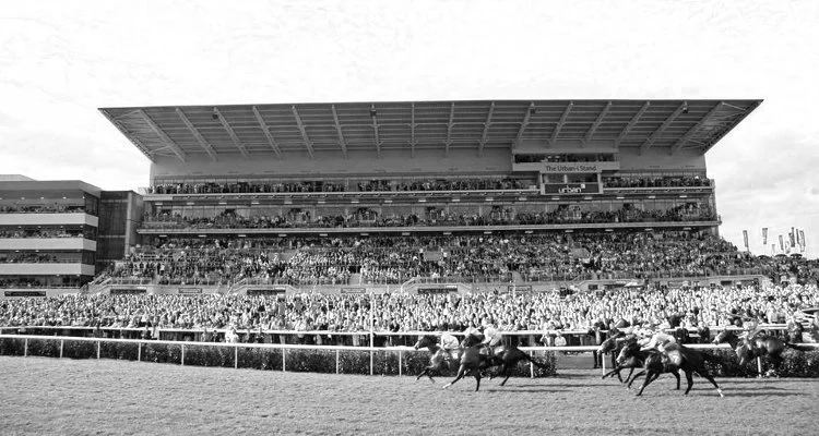 Our Portfolio — PMY