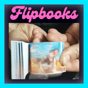 Flipbooks — Flip'n Sweet! 360 Photo Booths & Flipbooks