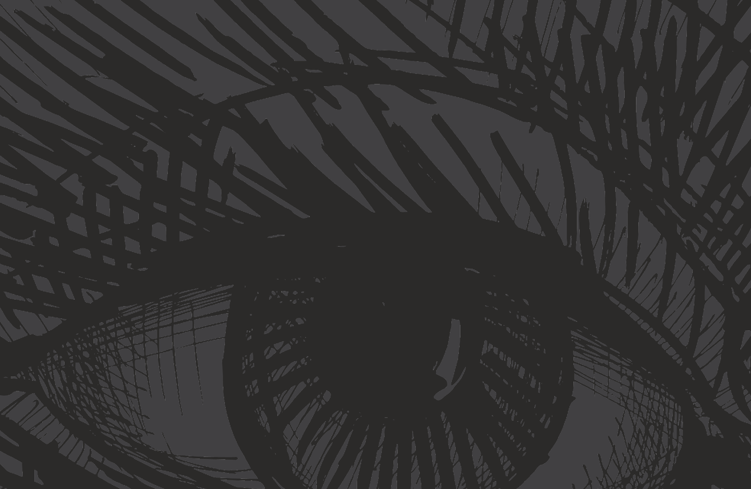 Greta-Mae Lash + Skin | South Shore’s Lash, Brow + Skin Specialists ...