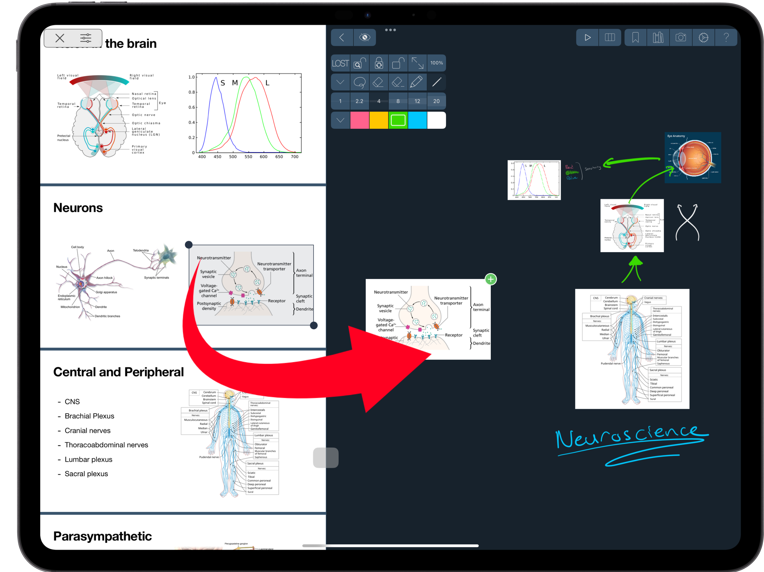 Ahmni - Infinite Canvas