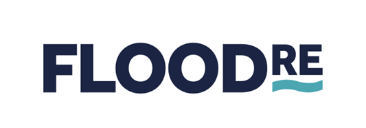 Collaborative Project 8 — South and East Network for Social Sciences ...