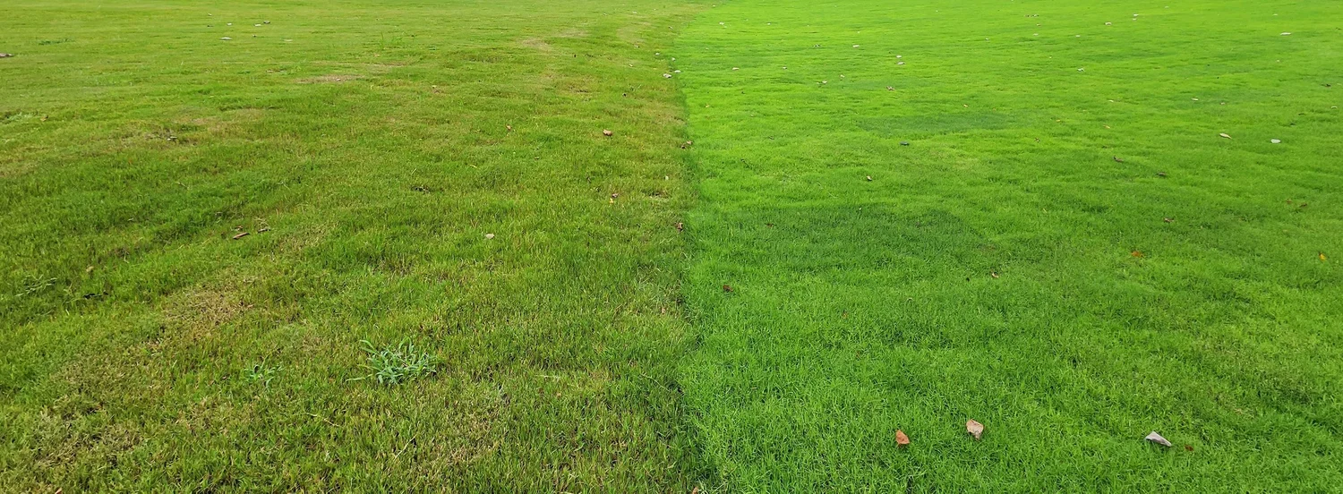 Turf Management — Coldwater Landscapes