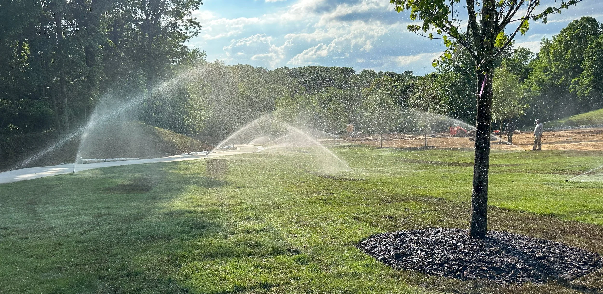 Coldwater Landscapes