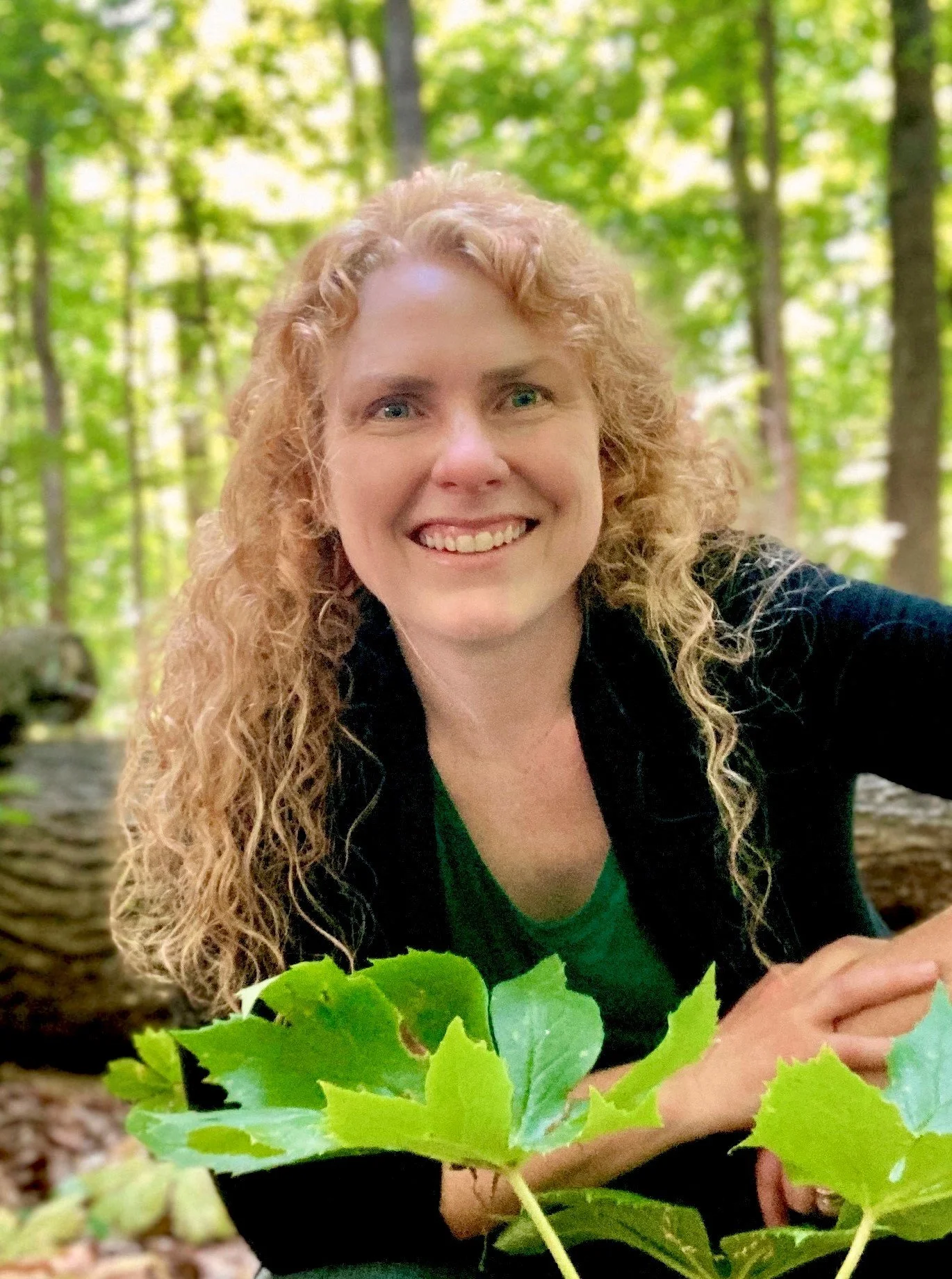 Forest Botanicals Region Living Monument — Monuments Across Appalachian ...