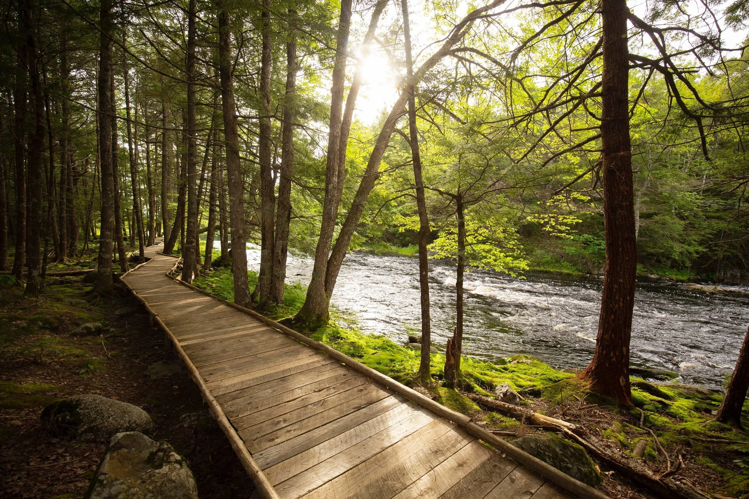 Mersey River Chalets