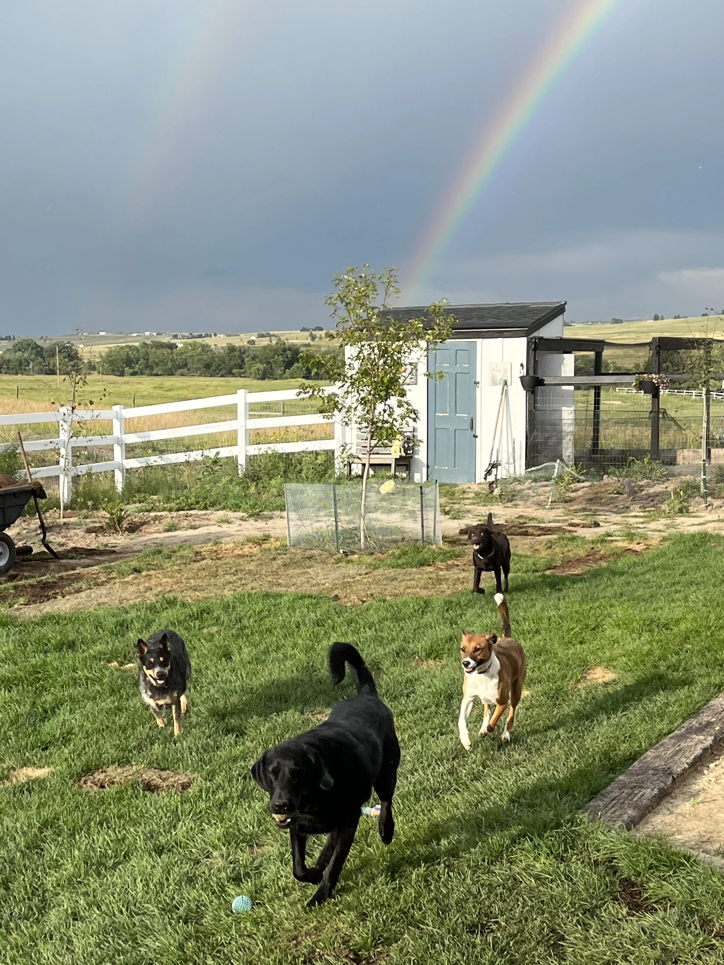About — Barkin Barn