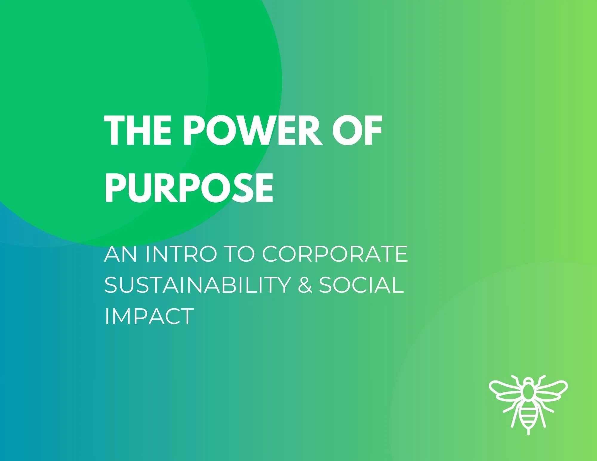 General 2 — Oland Purpose Works | Social Purpose Sustainability ...