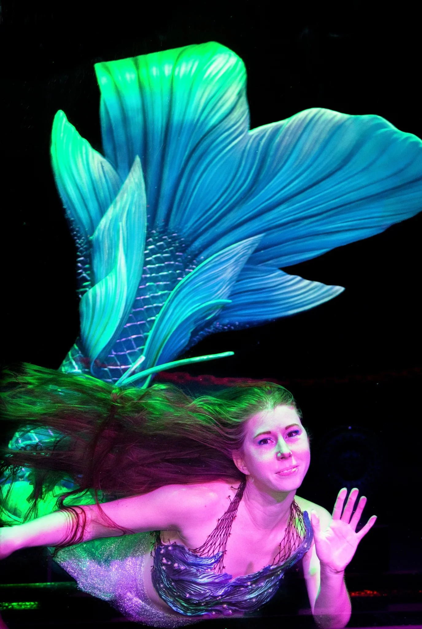 Entertainment — Arizona Renaissance Festival