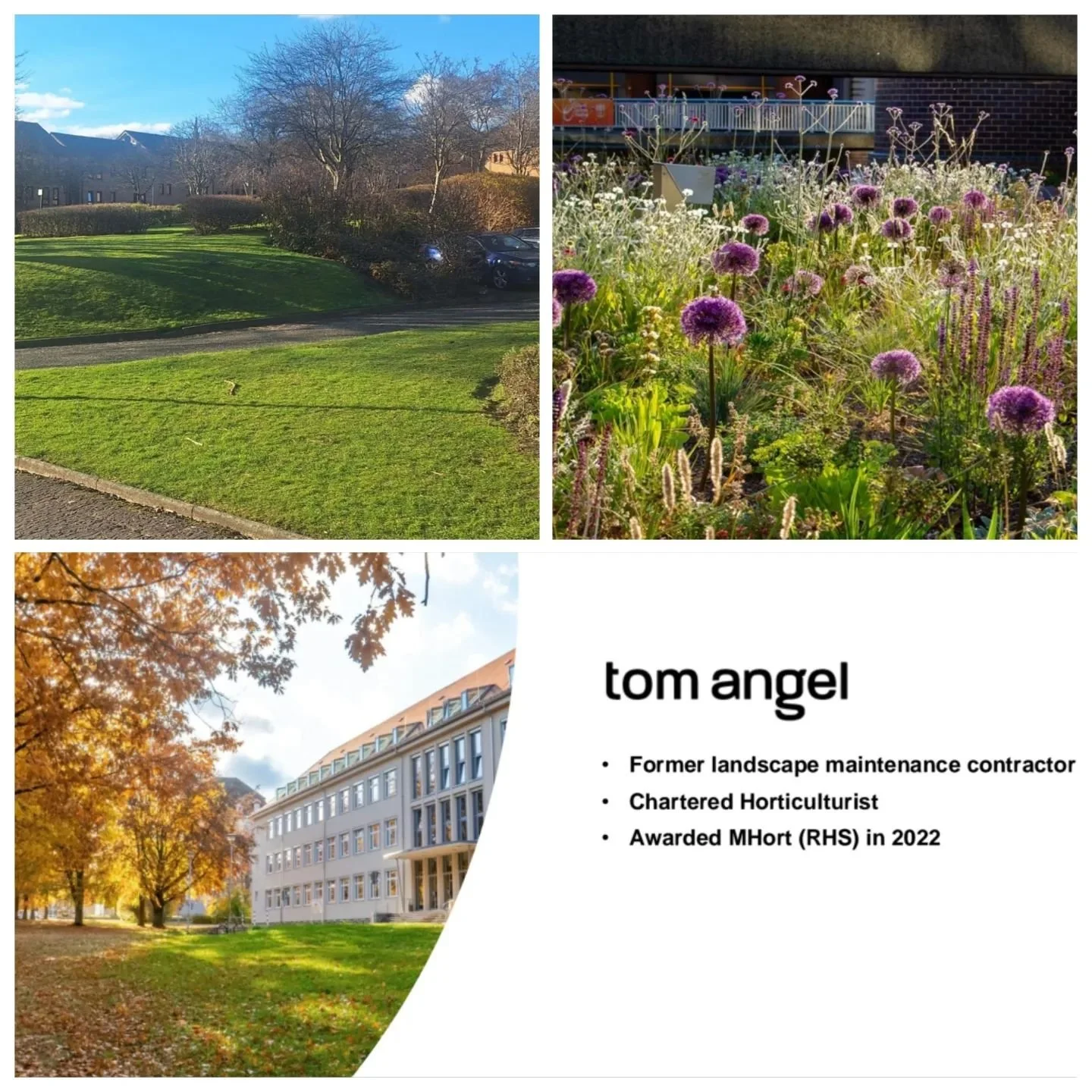 Landscape Consultant & Garden Designer Glasgow - Tom Angel Studio