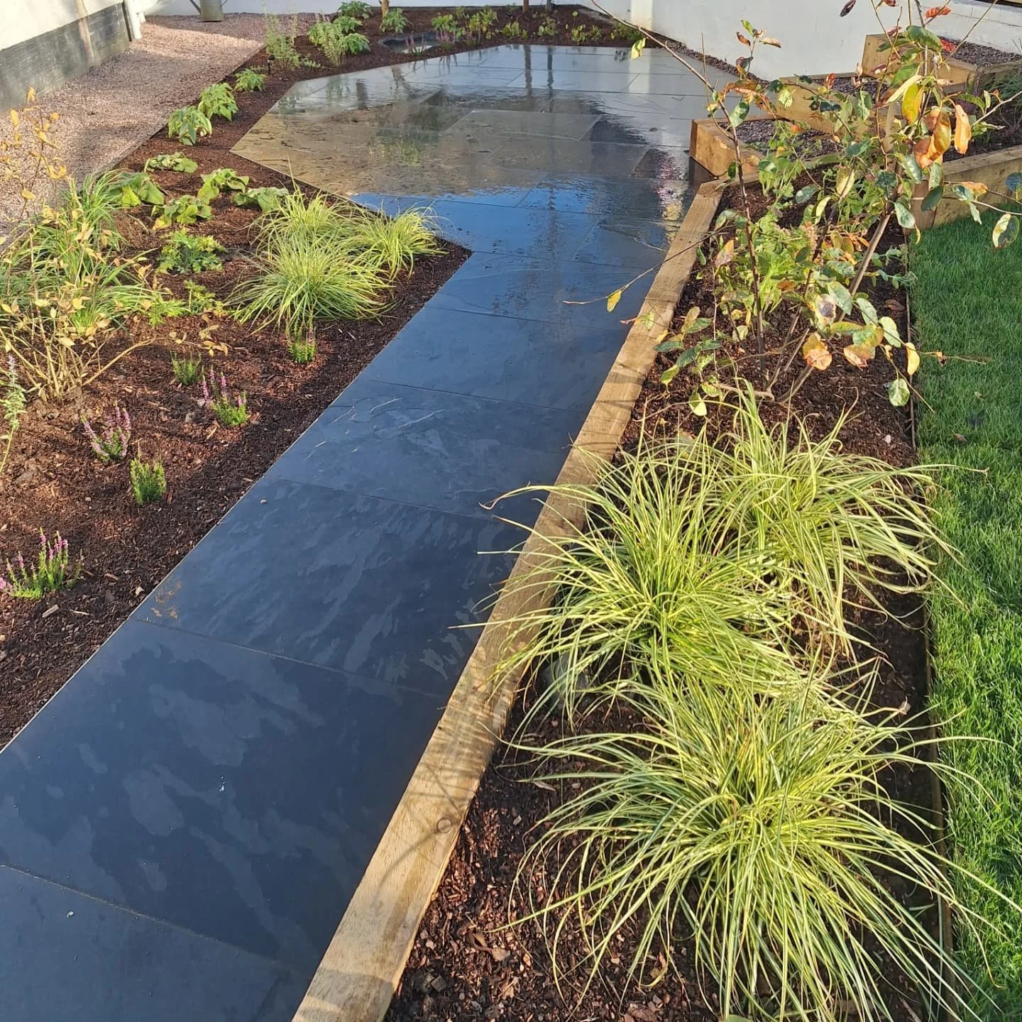 Landscape Consultant & Garden Designer Glasgow - Tom Angel Studio