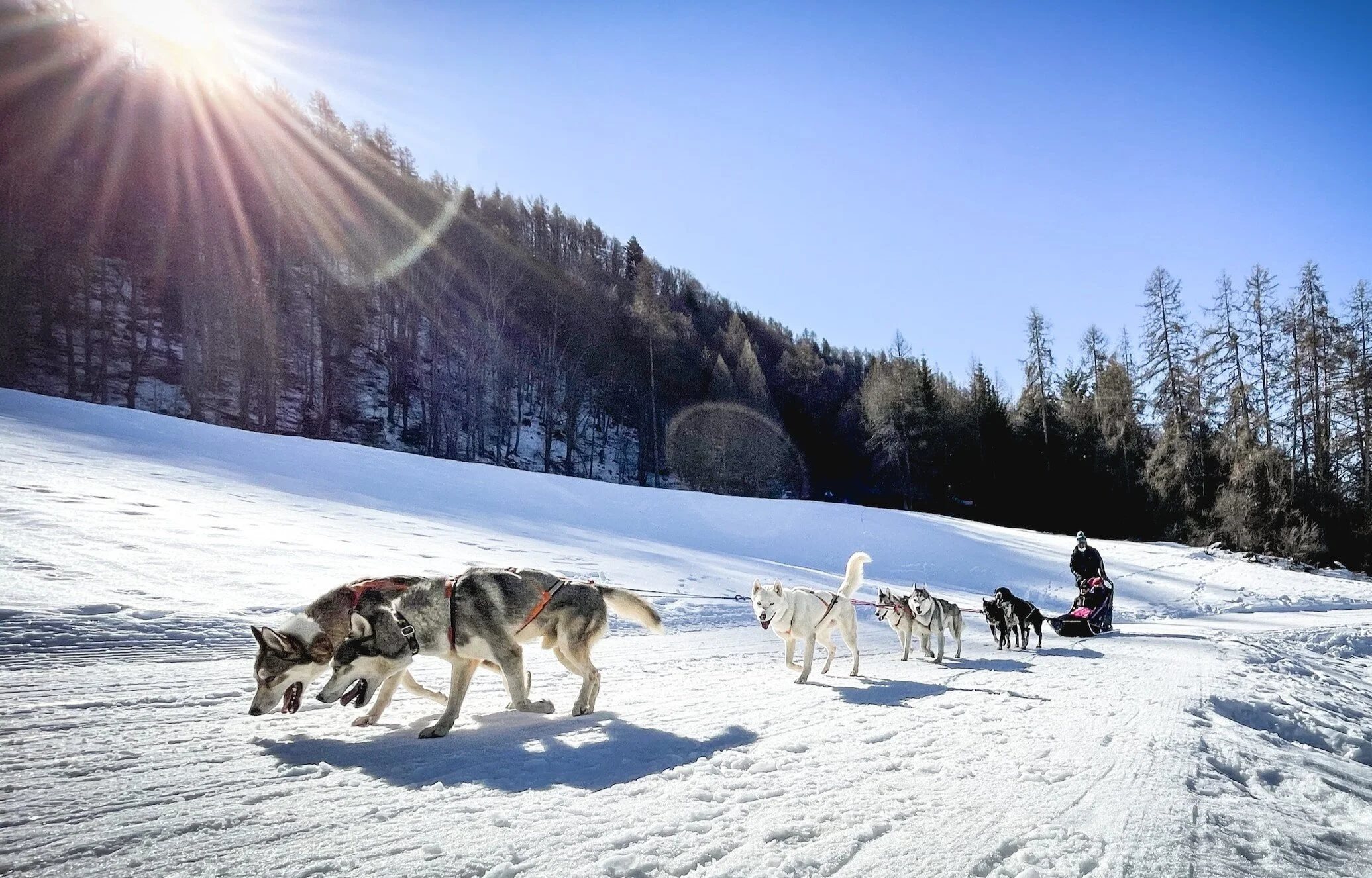 Alaska Behavioral Health Association