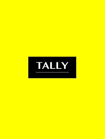 Tally web app case study — My UX Design site