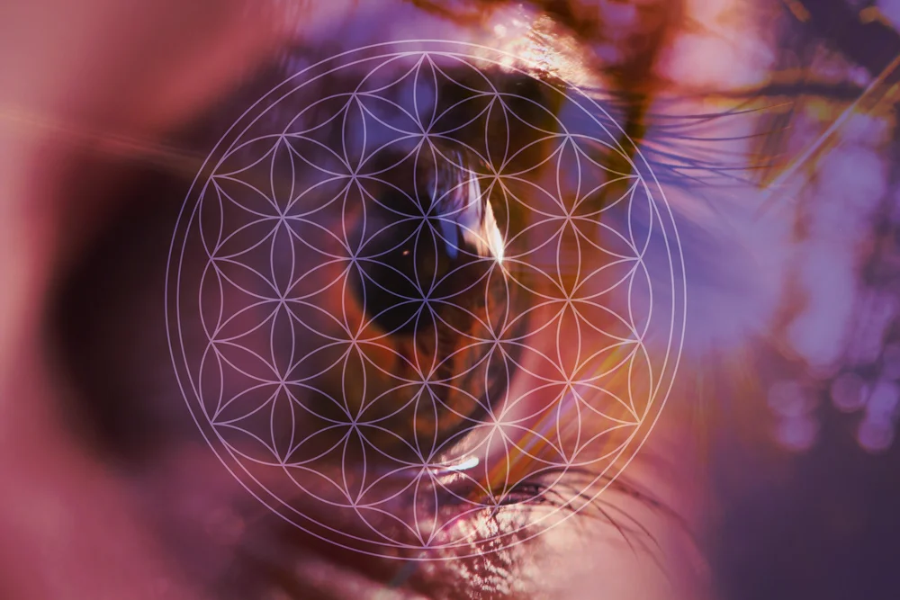 5 Signs Your Third Eye is Opening — Moonglow Holistic Guidance