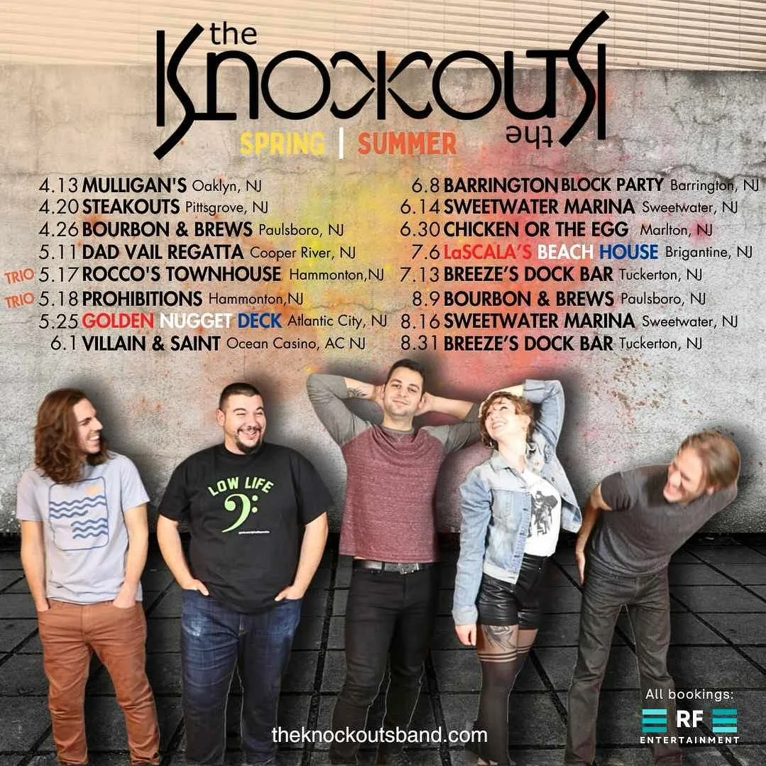 The Knockouts - Party Band