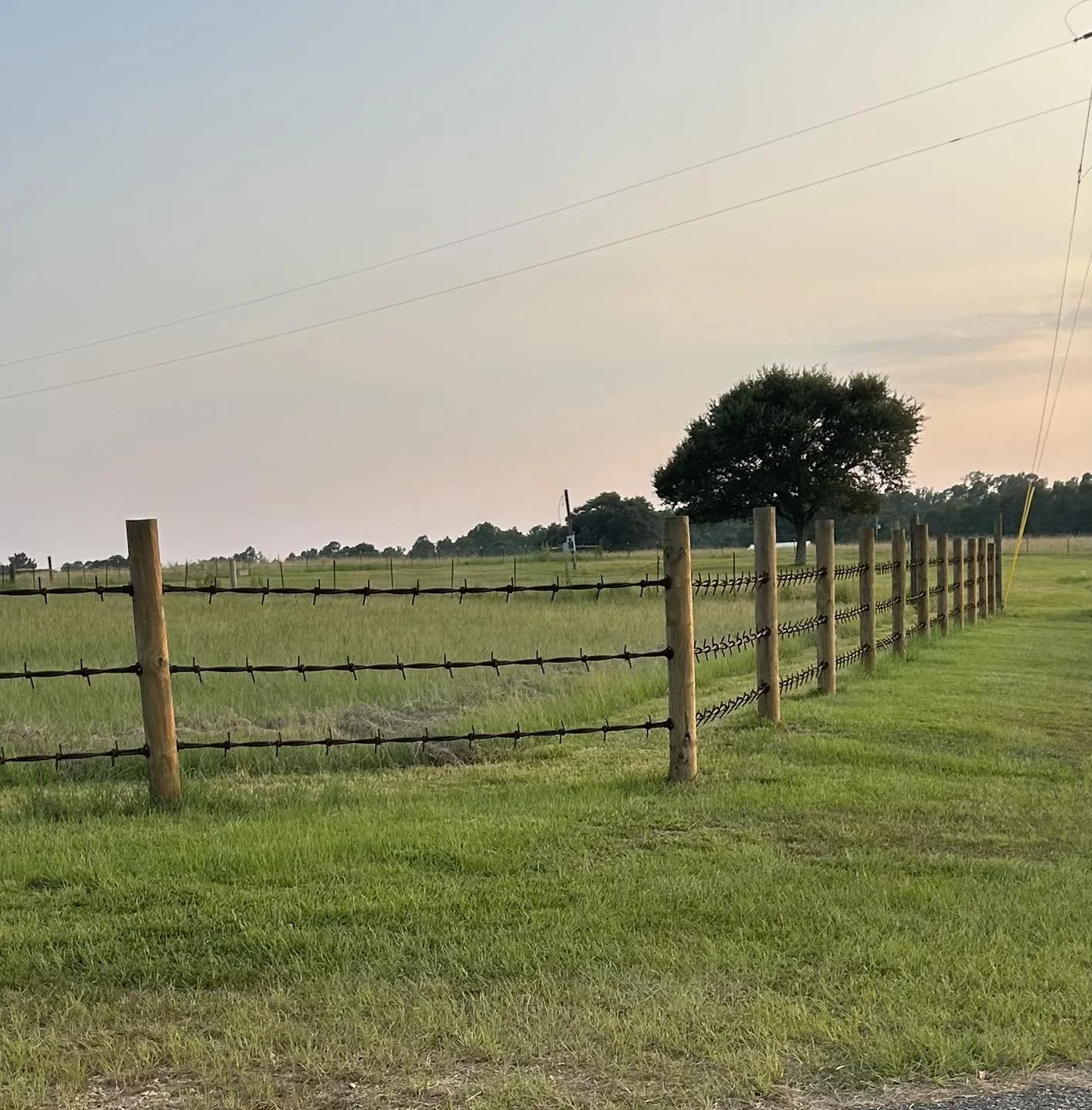 Big Barbwire for Sale