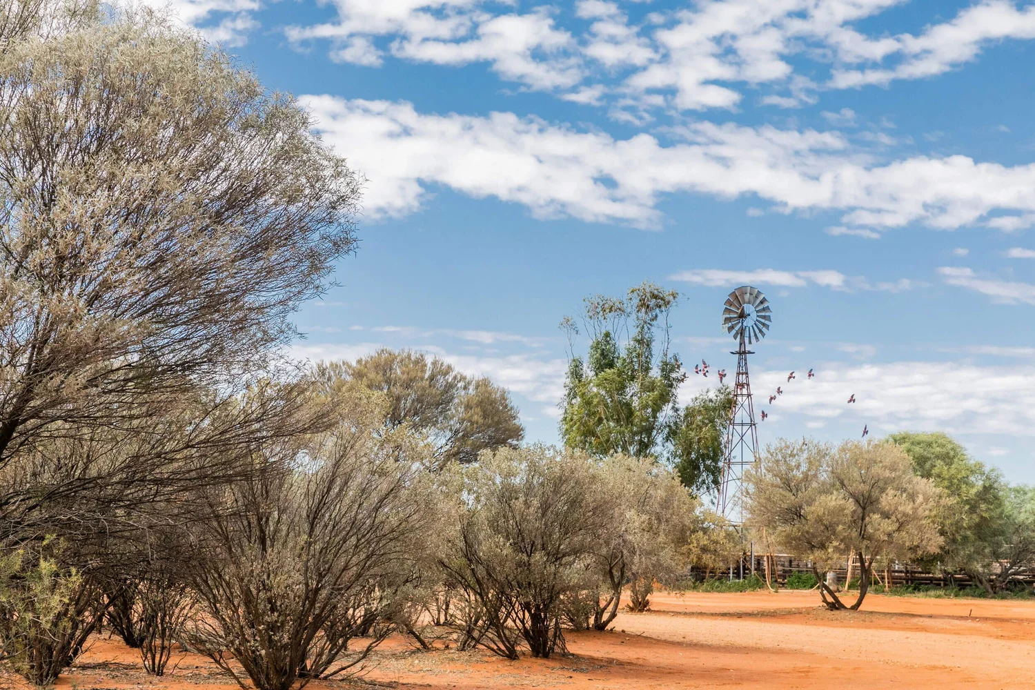 Nallan Station Stay - Midwest, Cue, Western Australia