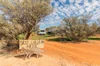 Nallan Station Stay - Midwest, Cue, Western Australia