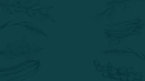 Colin Nash Restaurant