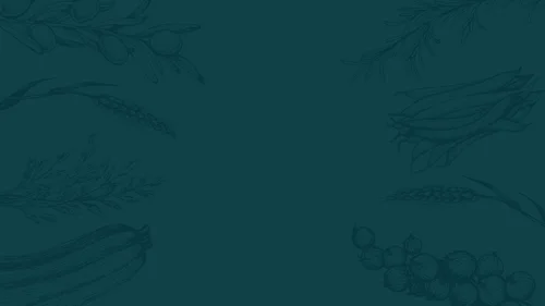 Colin Nash Restaurant