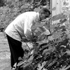 Colin Nash award-winning chef in the New Forest — Colin Nash Restaurant