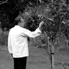 Colin Nash award-winning chef in the New Forest — Colin Nash Restaurant