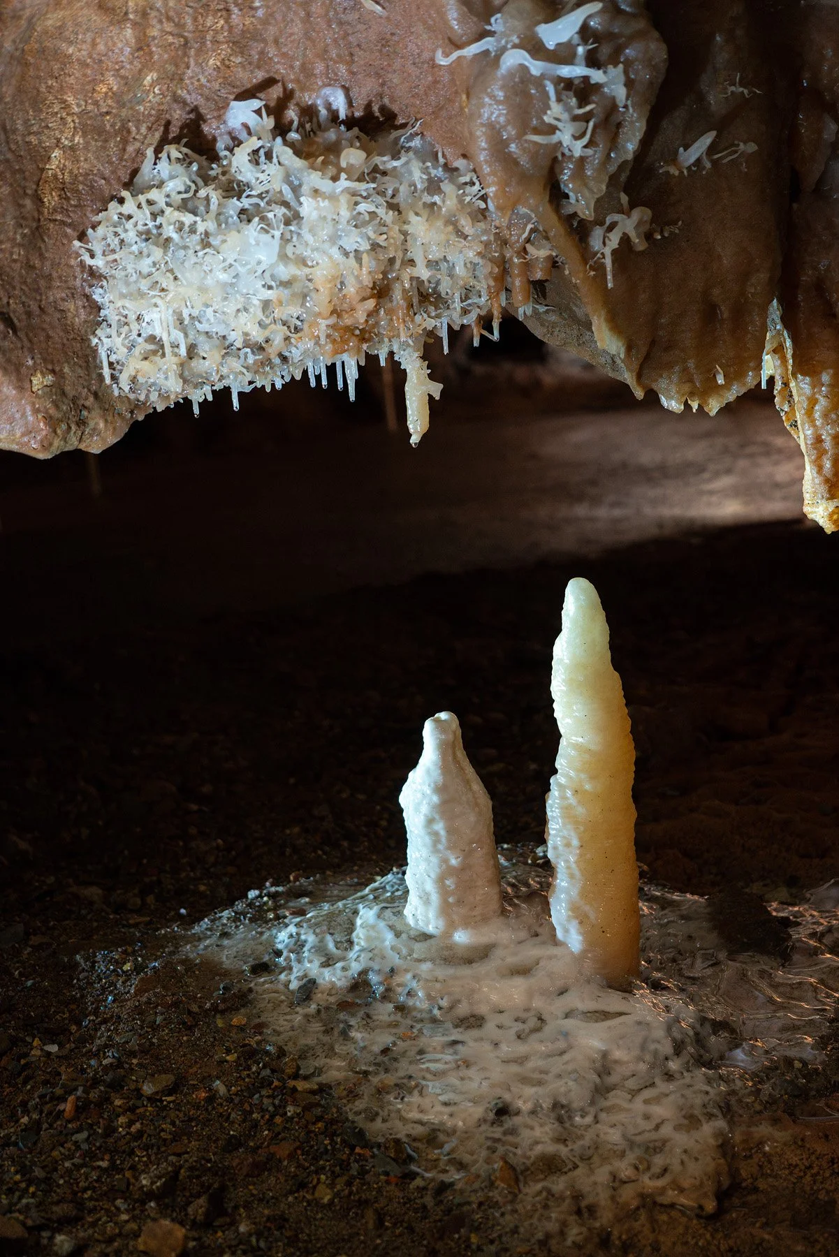 Jenolan Caves