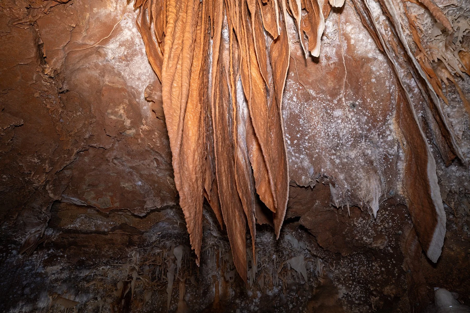 Caves — Jenolan Caves