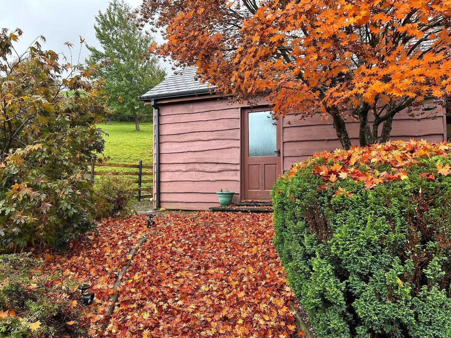 The Fron Complex | Luxury self catering holiday homes in Mid-Wales