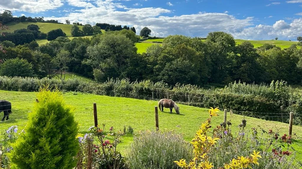 The Fron Complex | Luxury self catering holiday homes in Mid-Wales