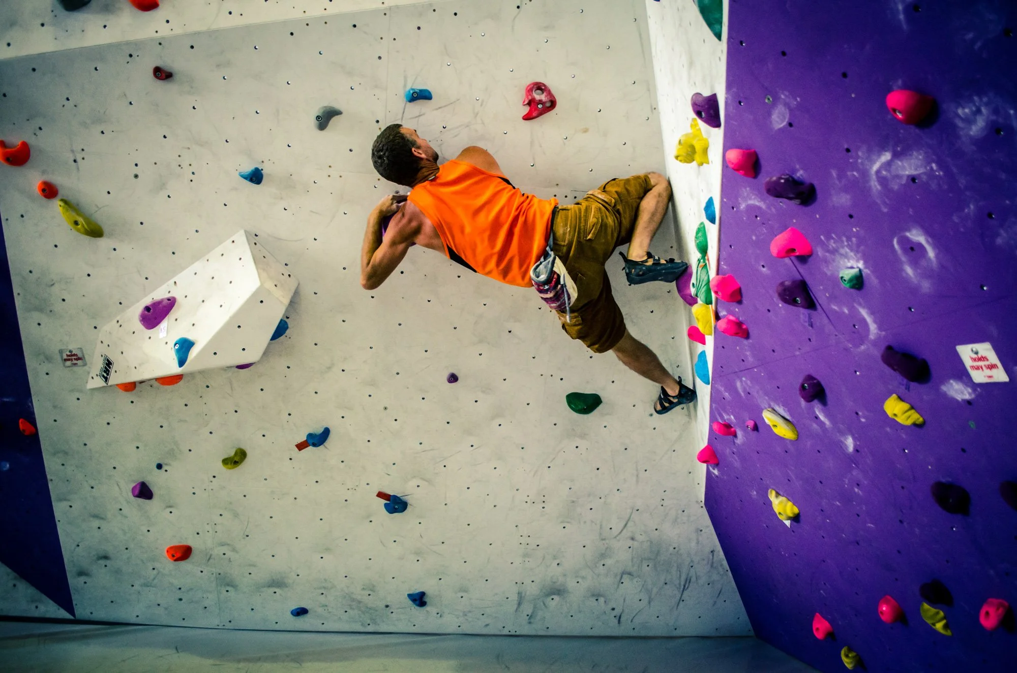 Golden Gecko Climbing