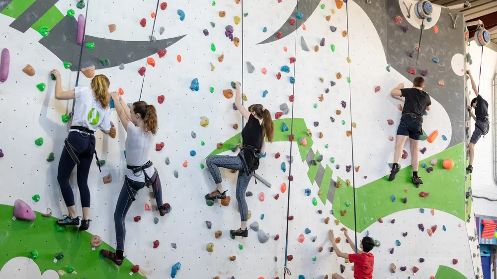 Autobelays — Golden Gecko Climbing