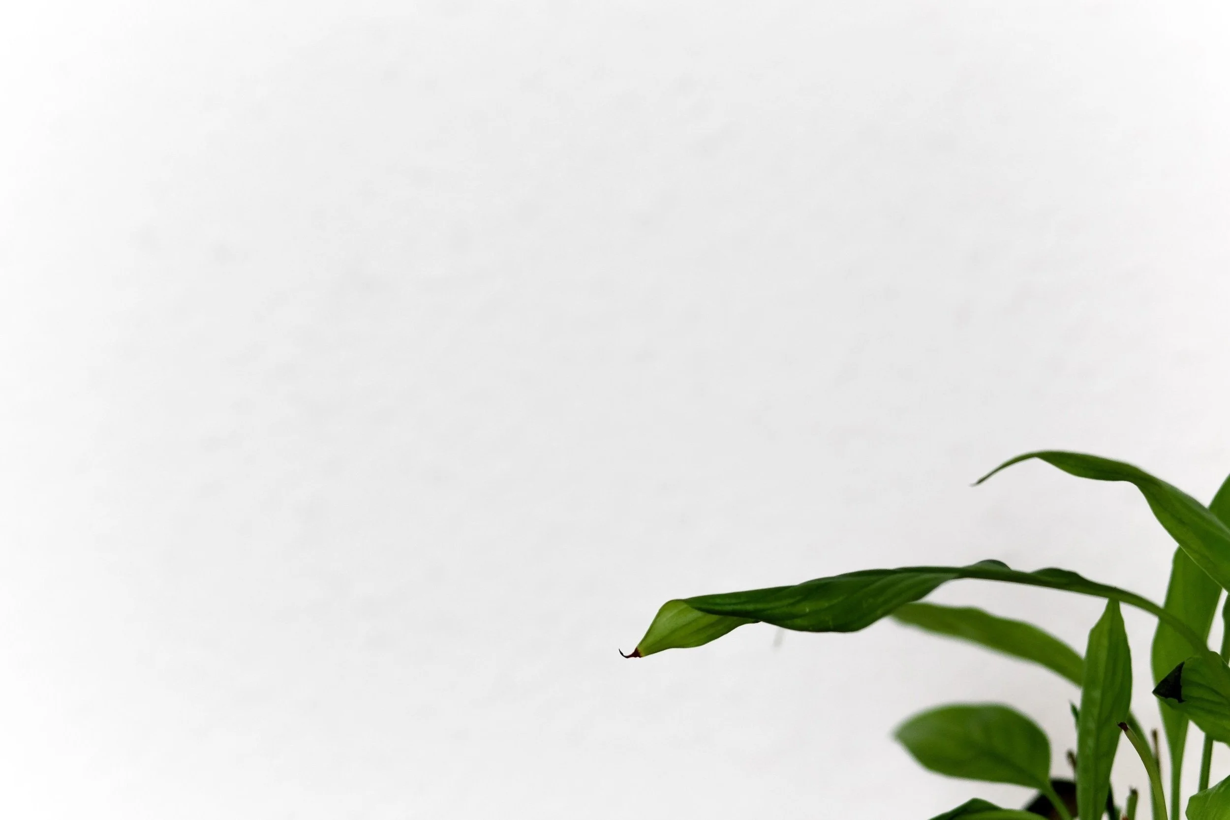 About Mindfulness For Fatigue about-mindfulness-for-fatigue