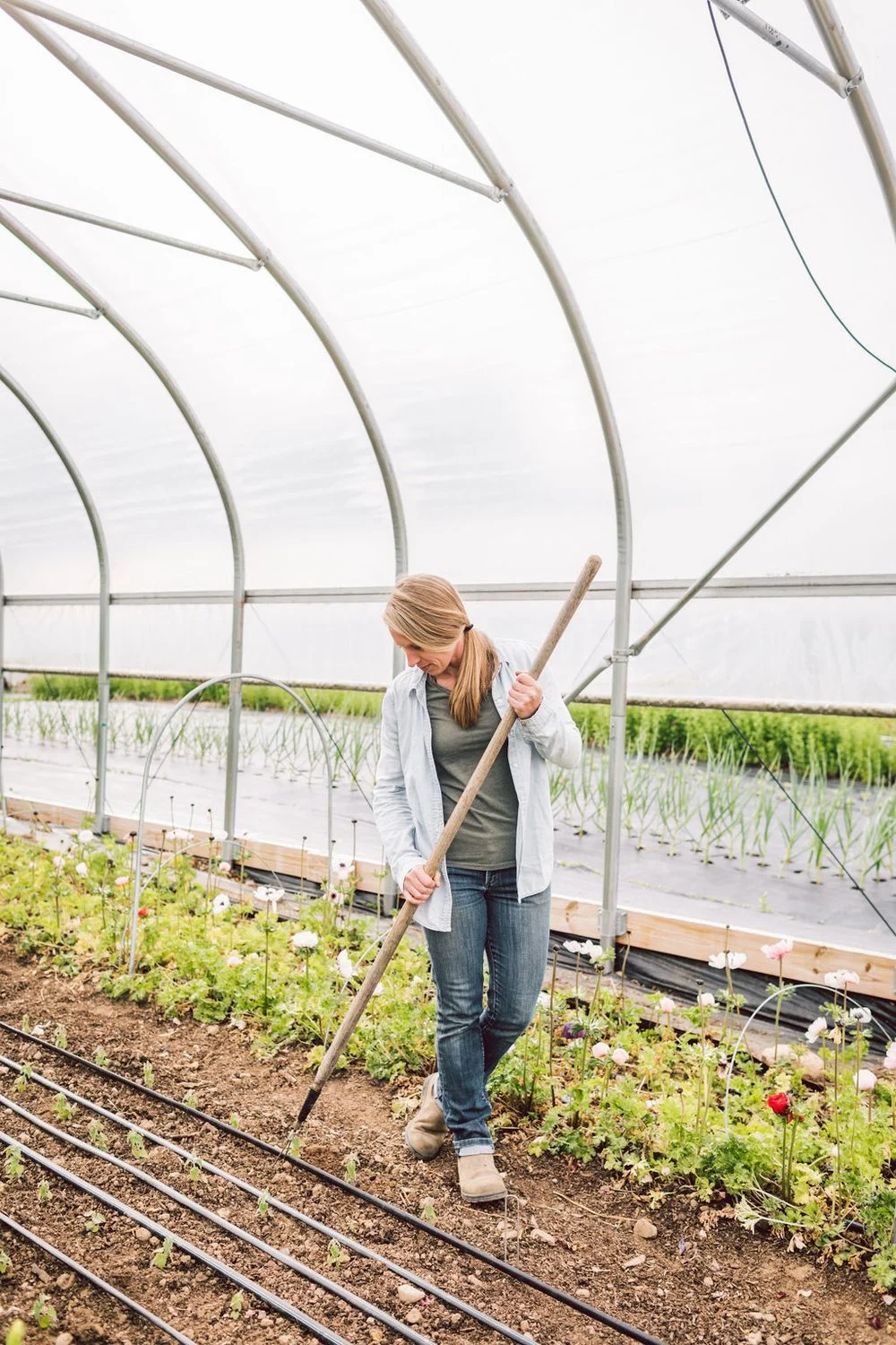 Lean Flower Farming Workshop: July 28 + 29 2025 — Trademark Farmer