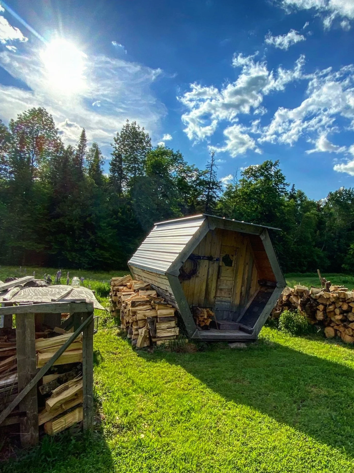 Hive Design