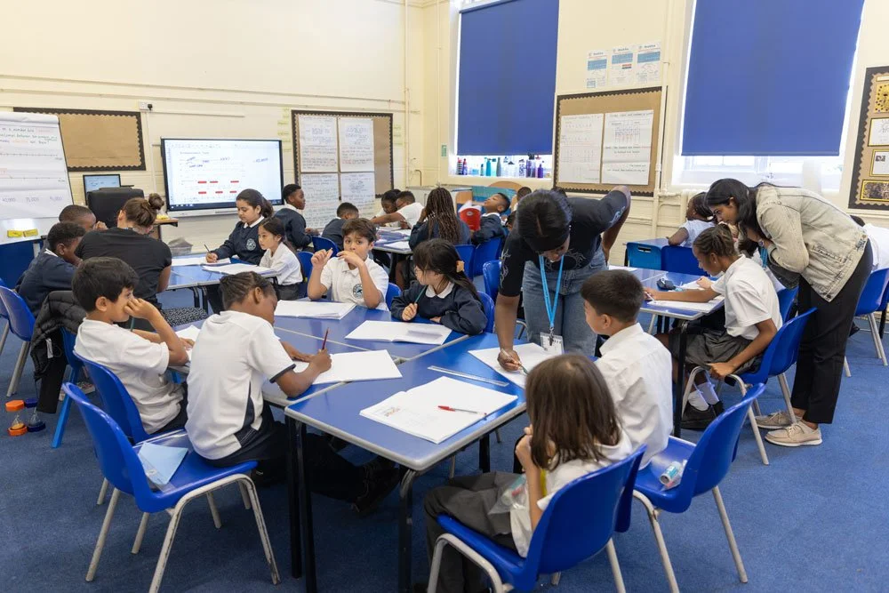 Overview — Bird In Bush