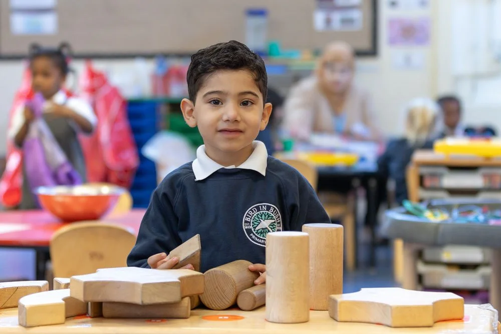 Design Technology — Bird In Bush