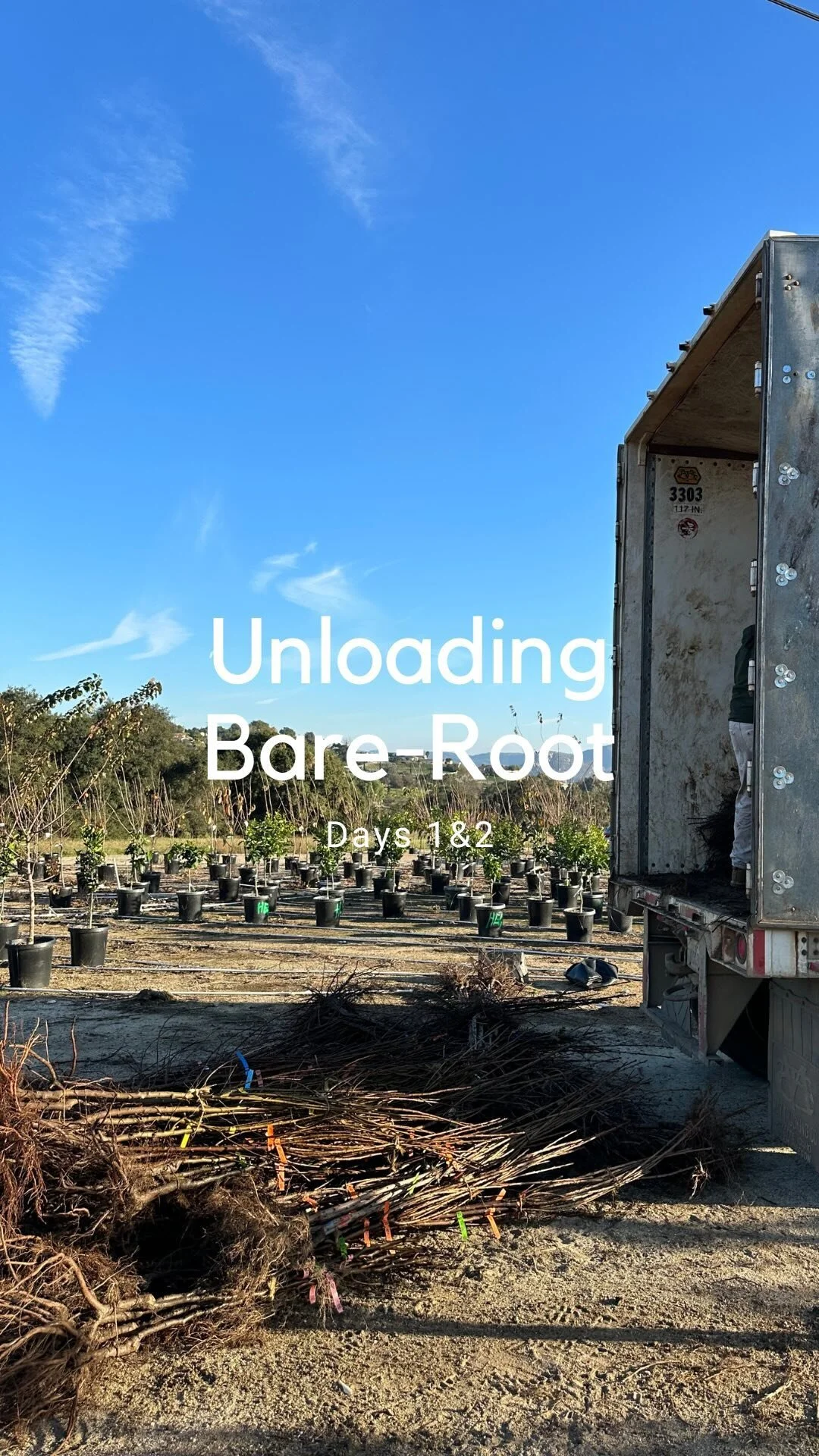 Contact — Maddock Ranch Nursery