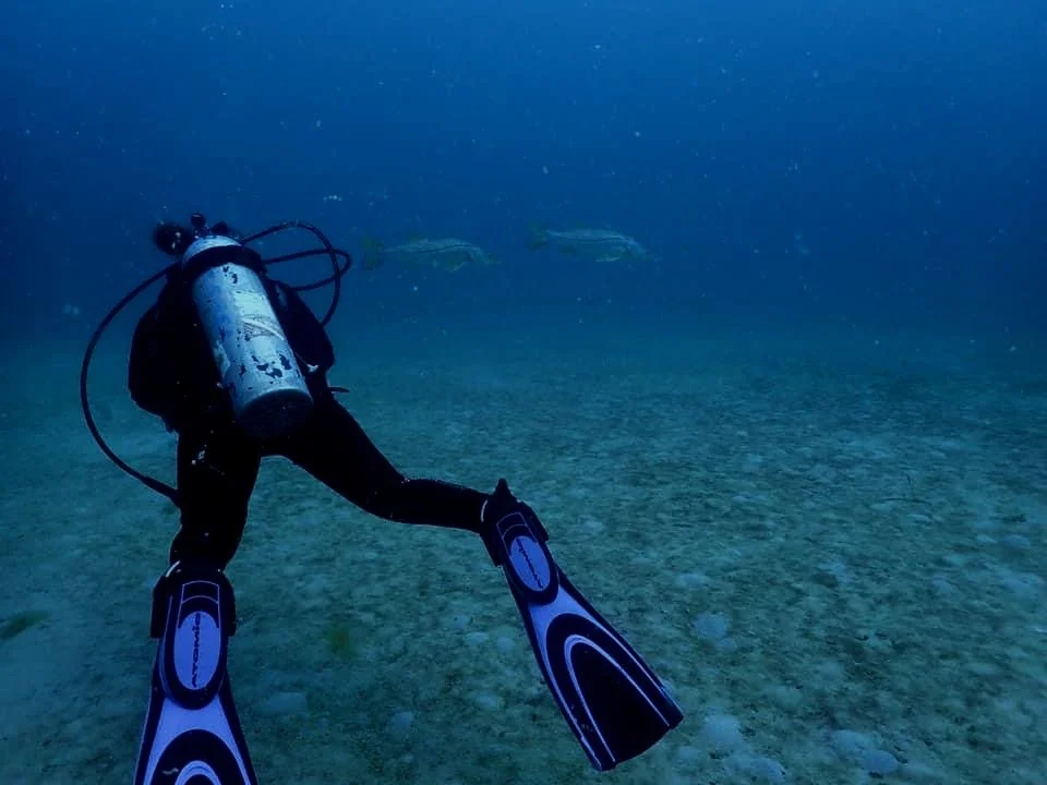 2 Shea Schuba Diving Charters — 2 Shea Charters