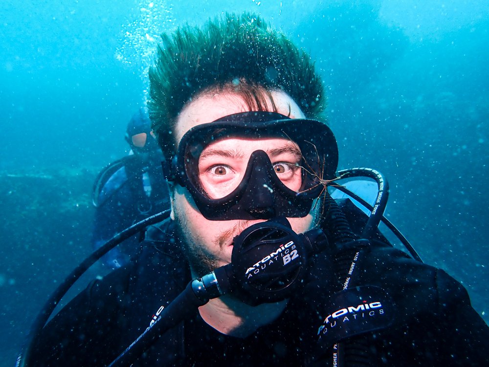 2 Shea Schuba Diving Charters — 2 Shea Charters