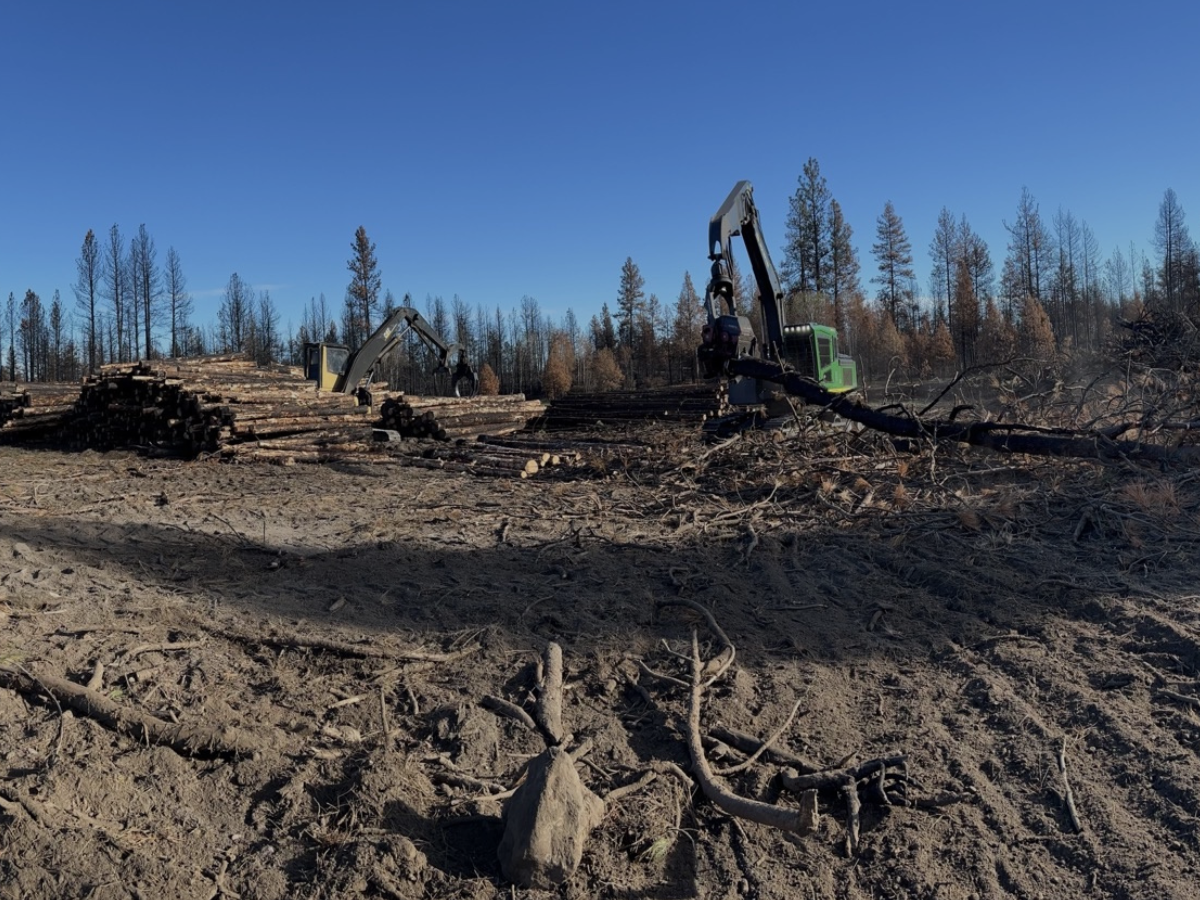 Marcus Anderson Properties