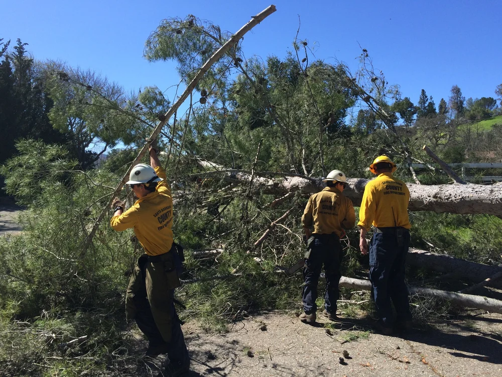 Vegetation Treatments — Wildfire Resilience Collaborative of Santa ...