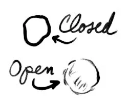 How to Create A Coloring Page — Art and Design by Kaitlin Trisciani